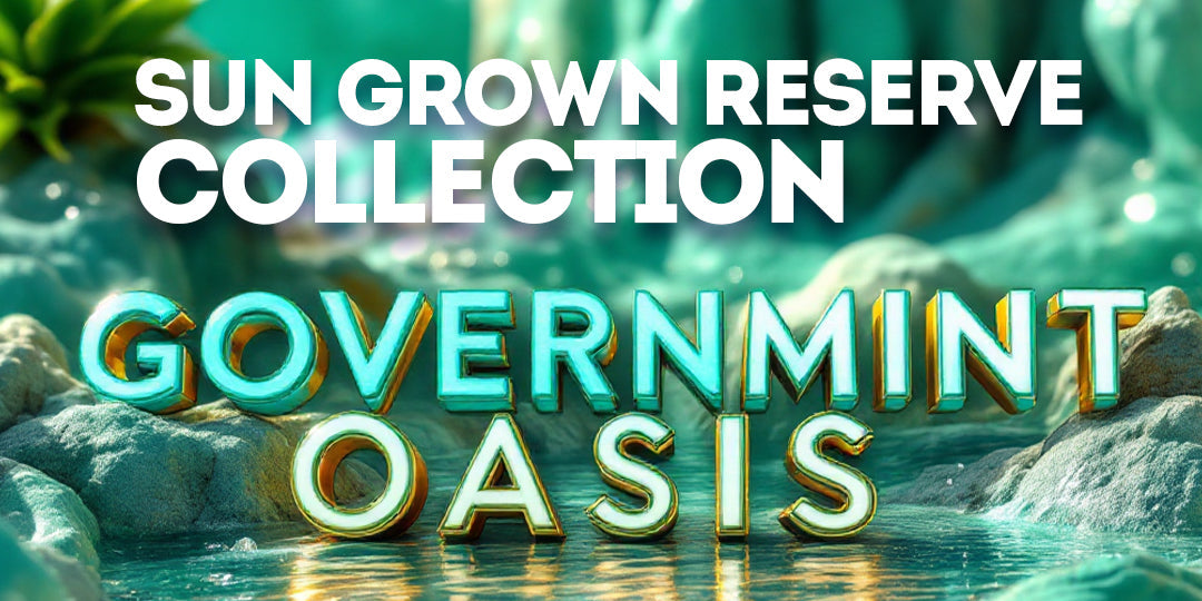 GovernMint Oasis — Sun Grown Reserve Blog – Buddaflies